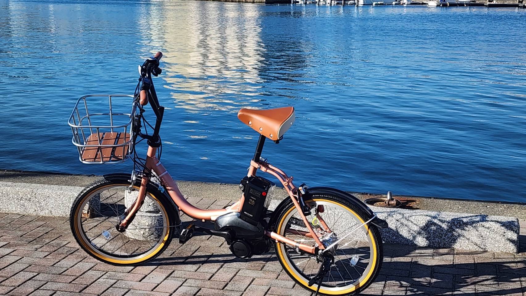 「富士見旅 E-BIKEレンタル」オンライン事前予約開始のお知らせ | お知らせ | 富士山清水港クルーズ株式会社 - 富士山を海の特等席で